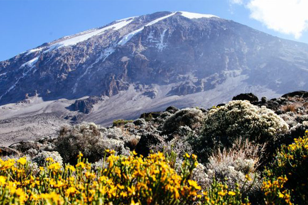 Kilimanjaro Lemosho route